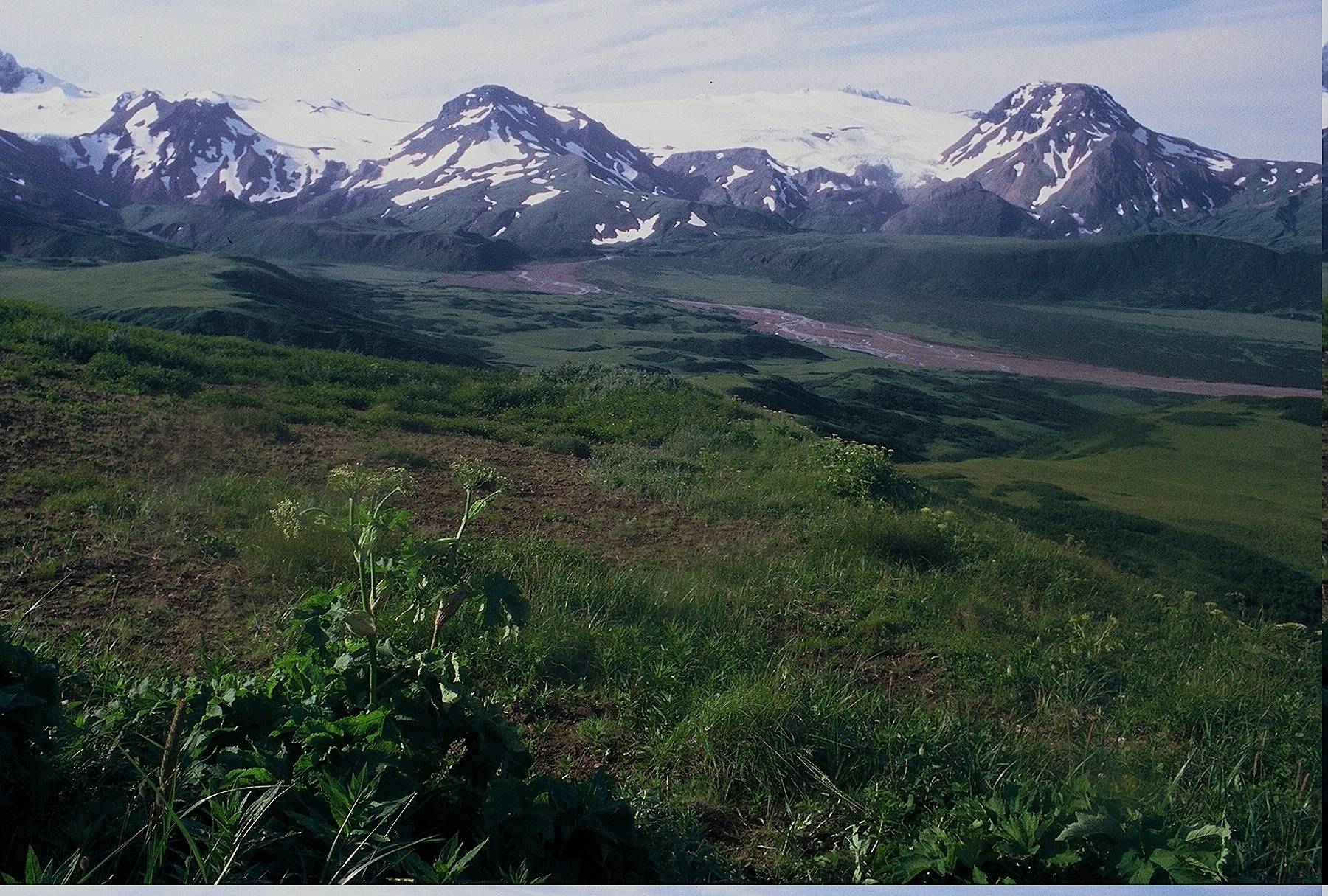 Hunting fossils under the midnight sun | Juneau Empire