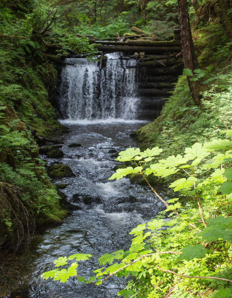 New bridges, old trail: Treadwell Ditch Trail getting upgrades | Juneau ...