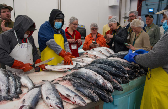 Output exceeding expectations for Alaska Glacier Seafoods | Juneau Empire