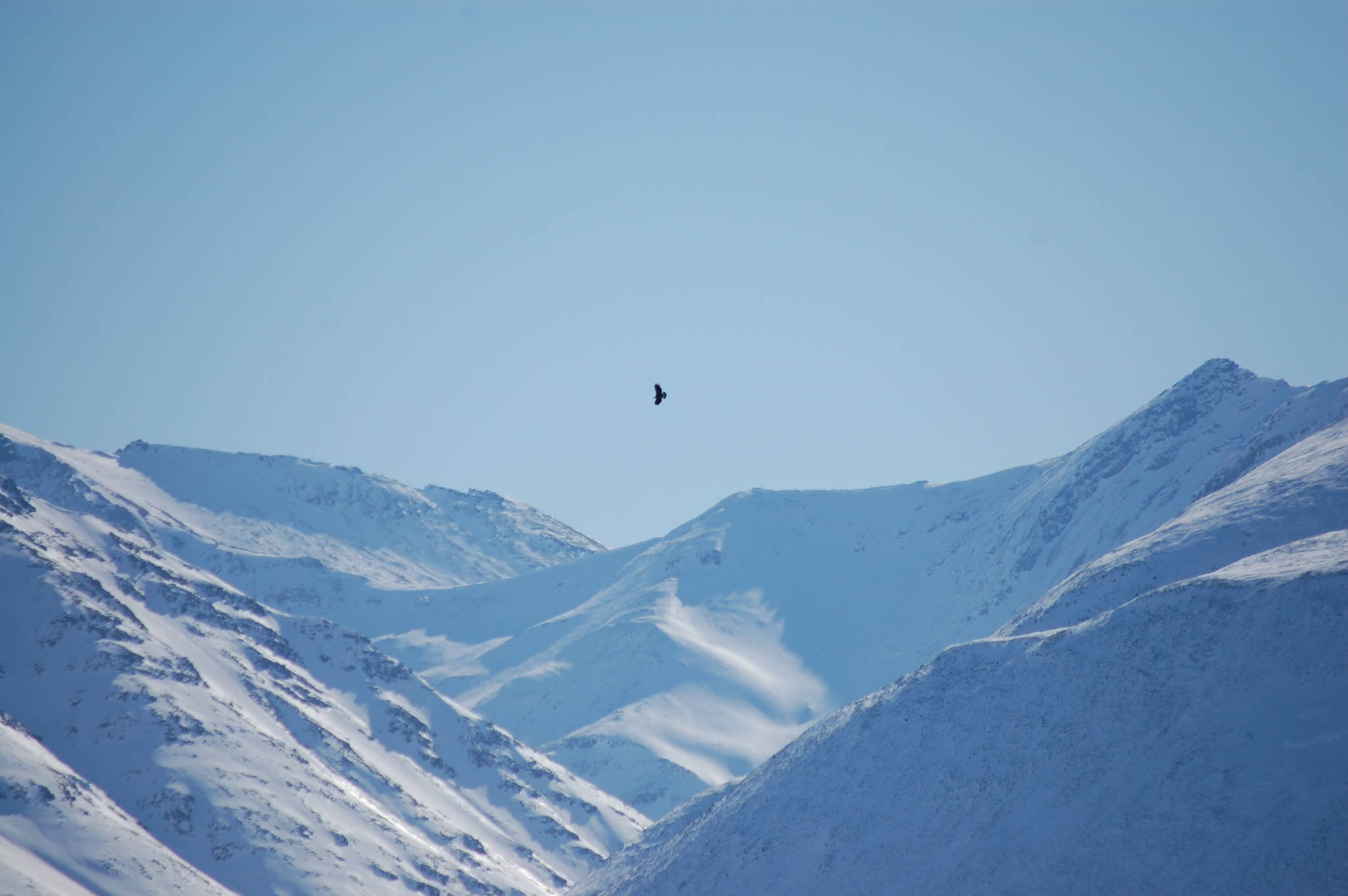 A ski through the Central Brooks Range | Juneau Empire