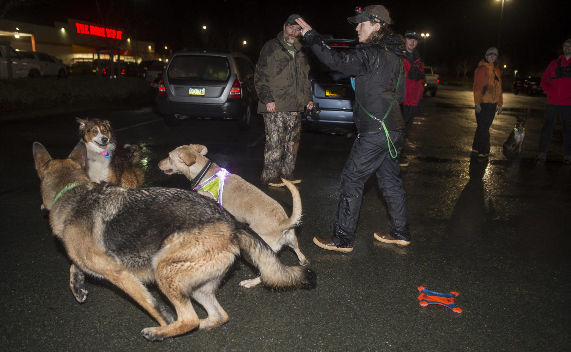 Training with SEADOGS: How Juneau’s search and rescue dogs sharpen ...