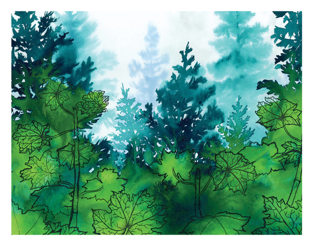 Michaela Goade-illustrated book wins ‘best picture book of the year ...