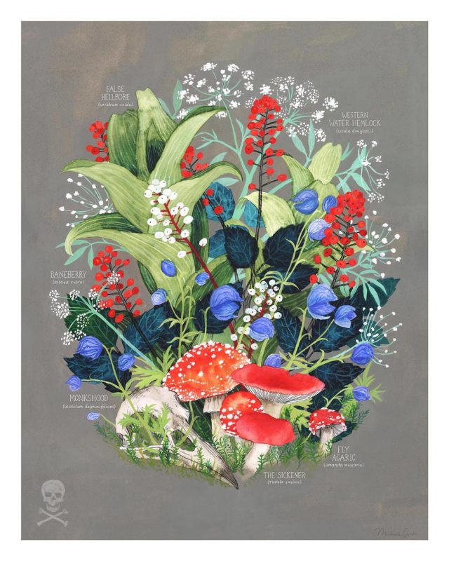 Michaela Goade-illustrated book wins ‘best picture book of the year ...