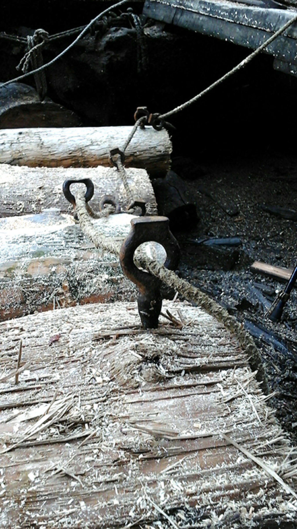 Alaska for Real: The secret life of logging dogs | Juneau Empire