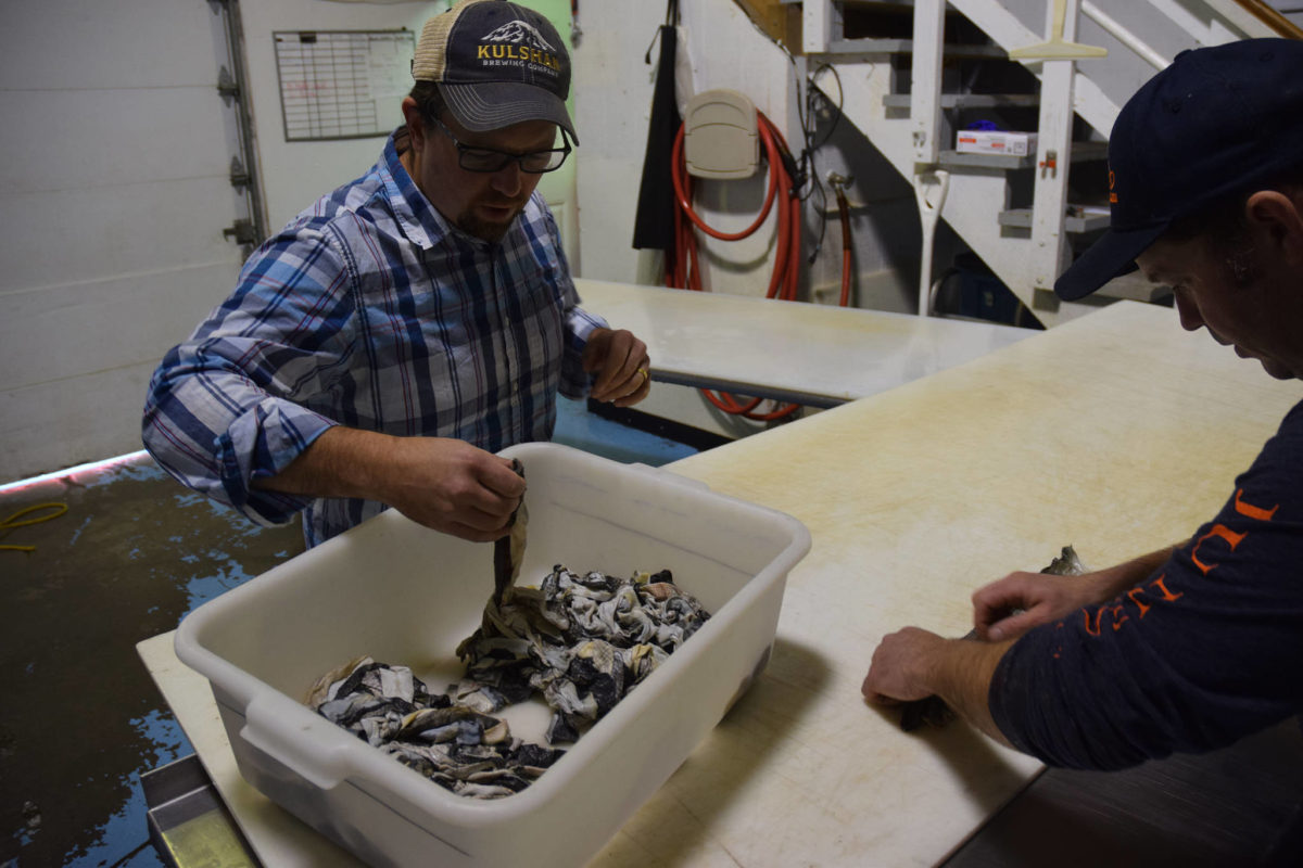 Another’s treasure: How Tidal Vision grew a corporation out of crab ...