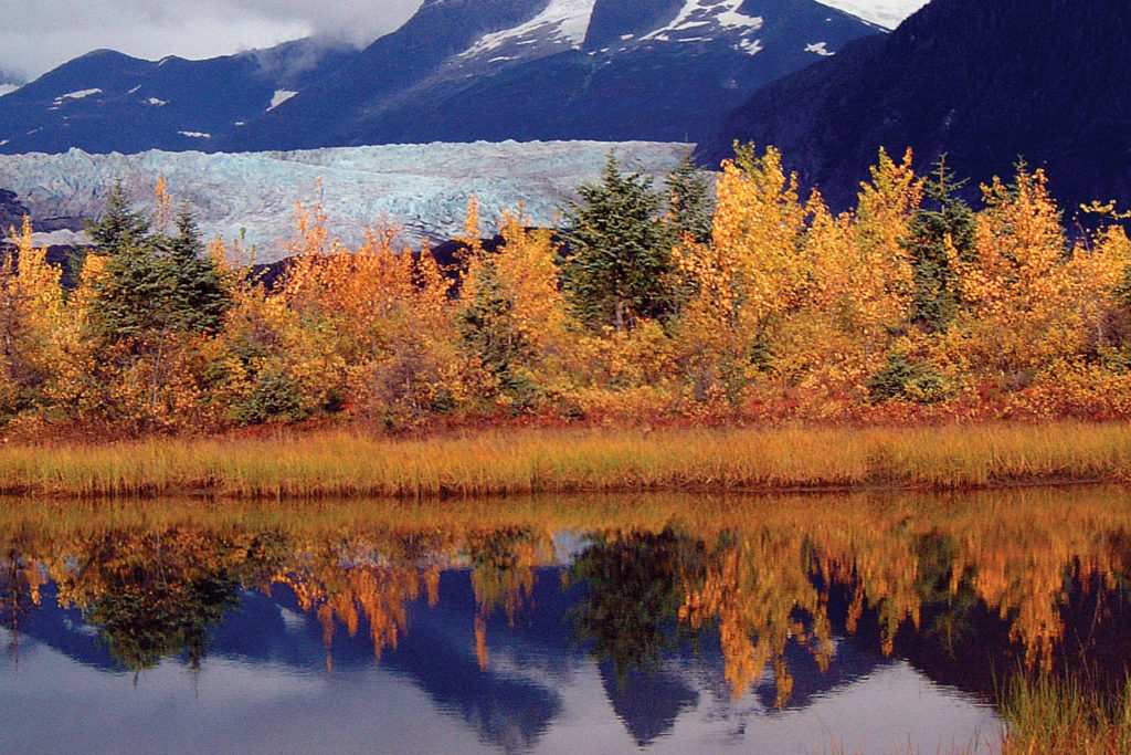 Autumn leaf colors | Juneau Empire