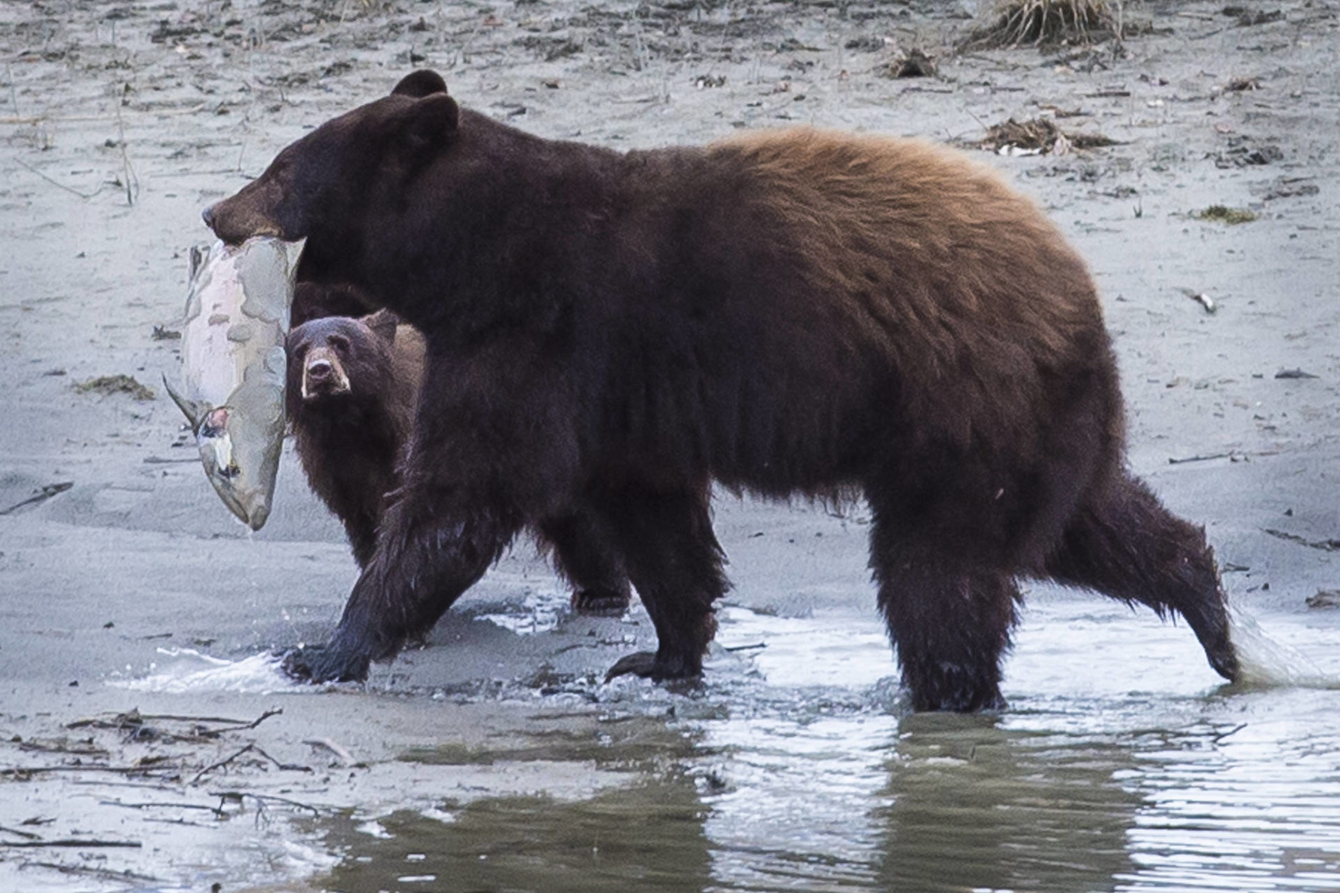 Best Photos of the Week | Juneau Empire