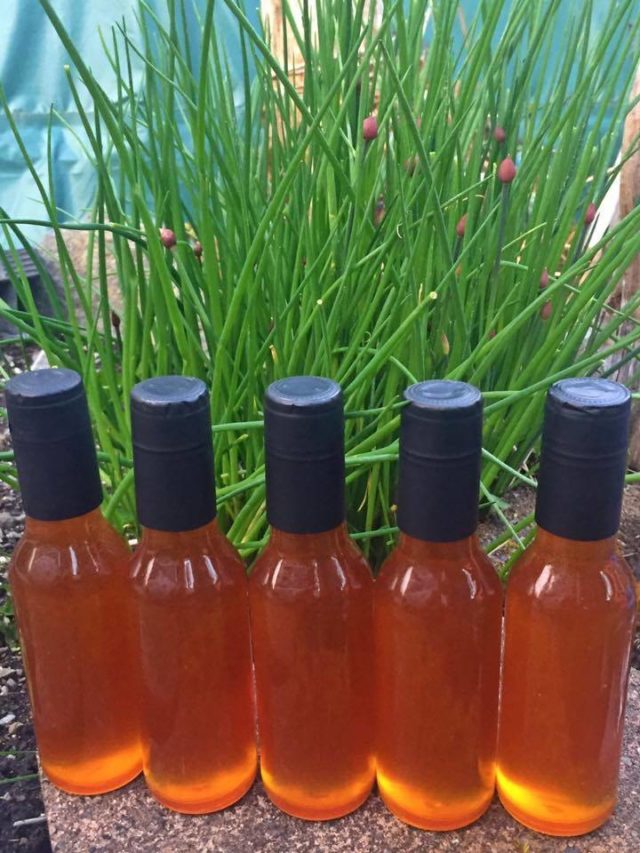 Salmonberry vinaigrette and cranberry ketchup: Here’s how to infuse ...