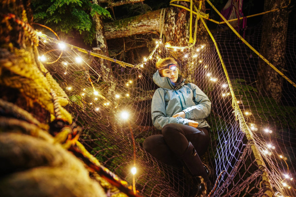 Tree nets at night | Juneau Empire