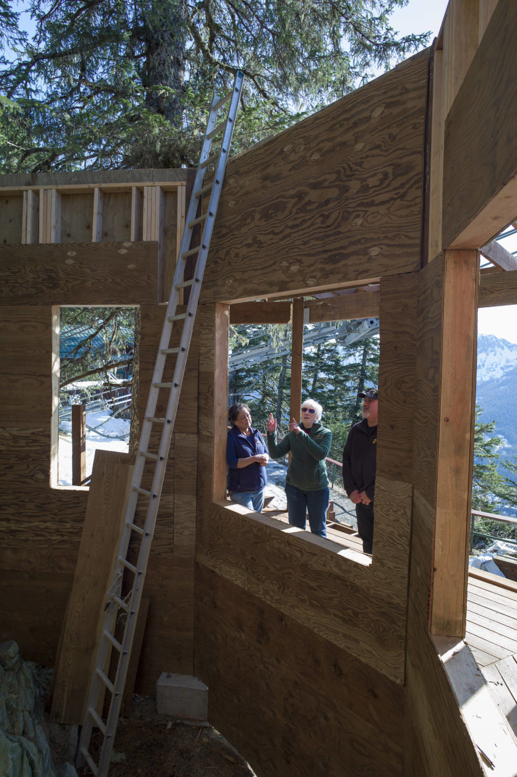 Eagle roost getting a boost | Juneau Empire