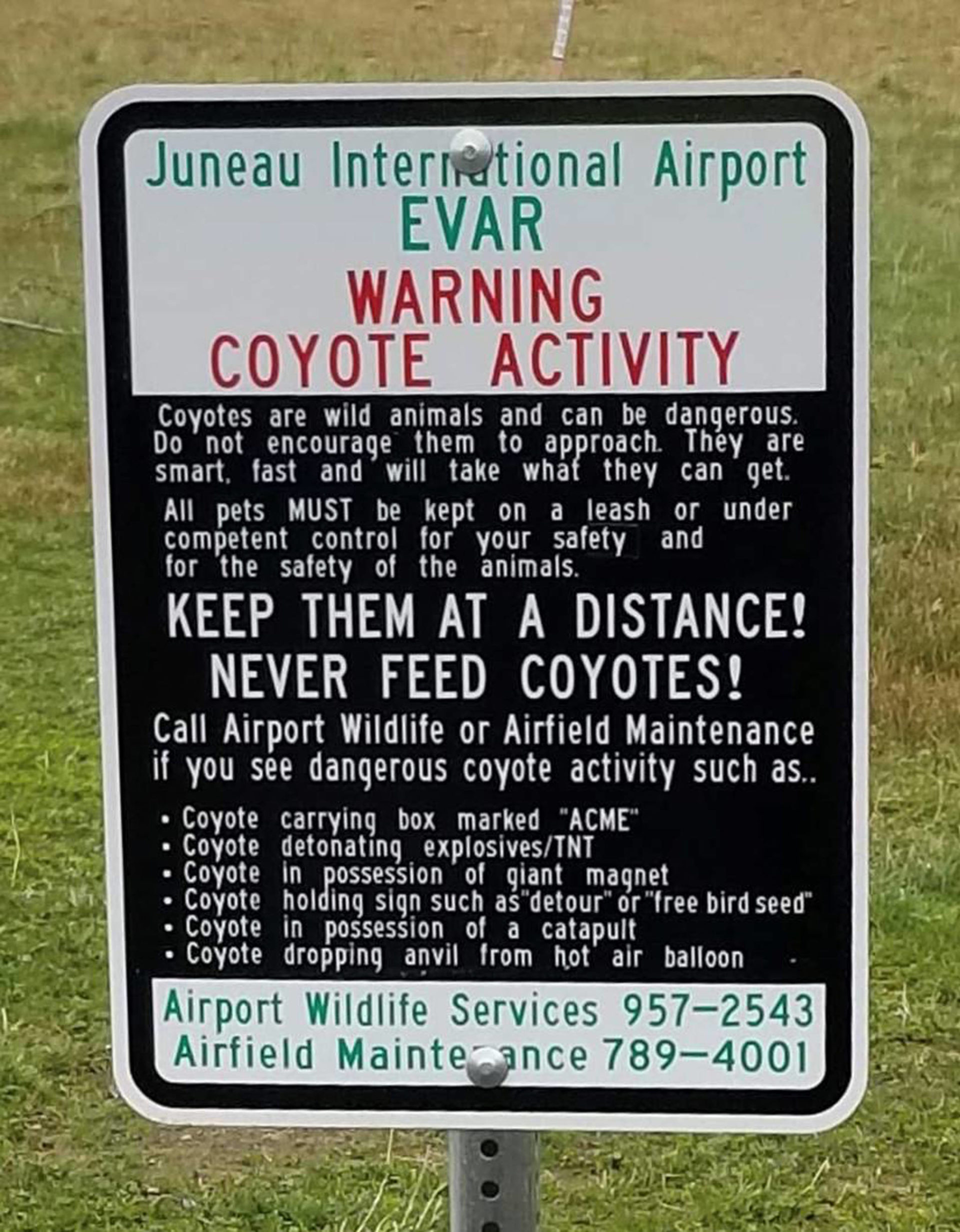 Yes, that Wile E. Coyote airport sign is real | Juneau Empire