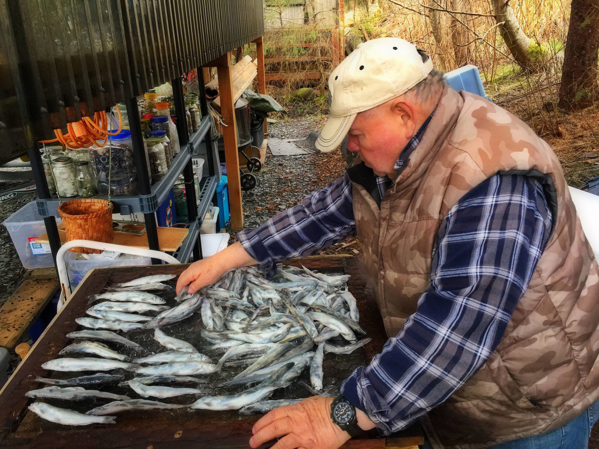 Planet Alaska: A bunch of hooligans at fishcamp | Juneau Empire