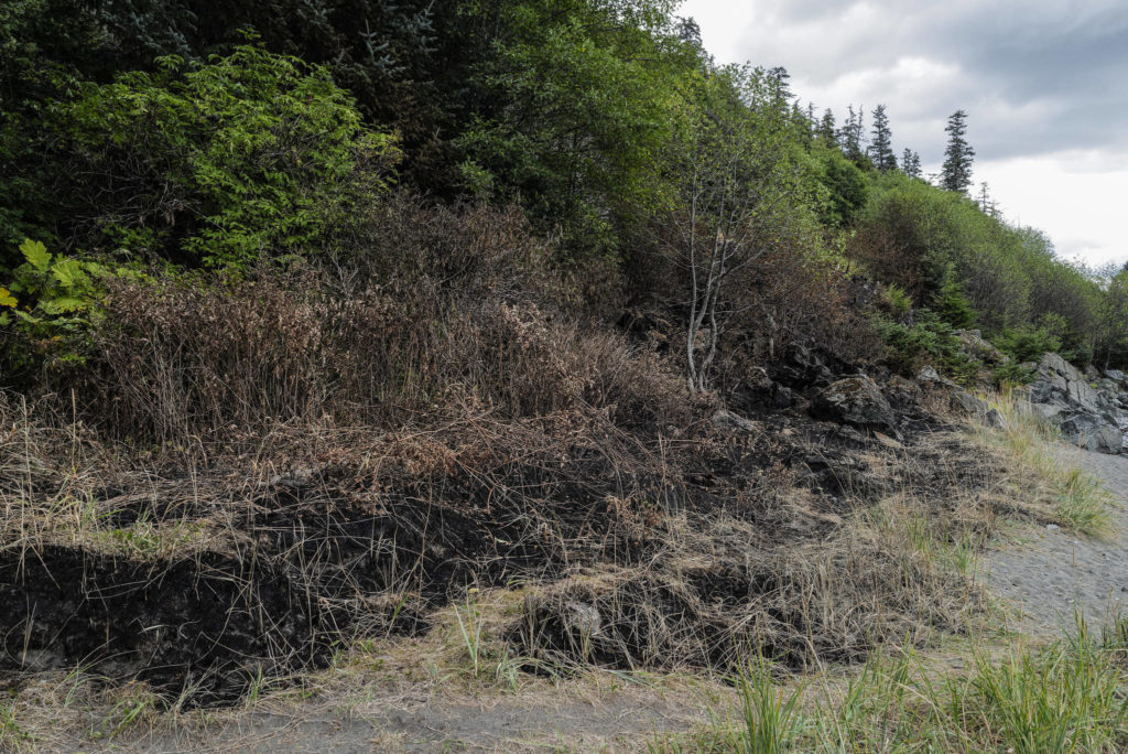 Photos: Wildfire damages Sunshine Cove | Juneau Empire