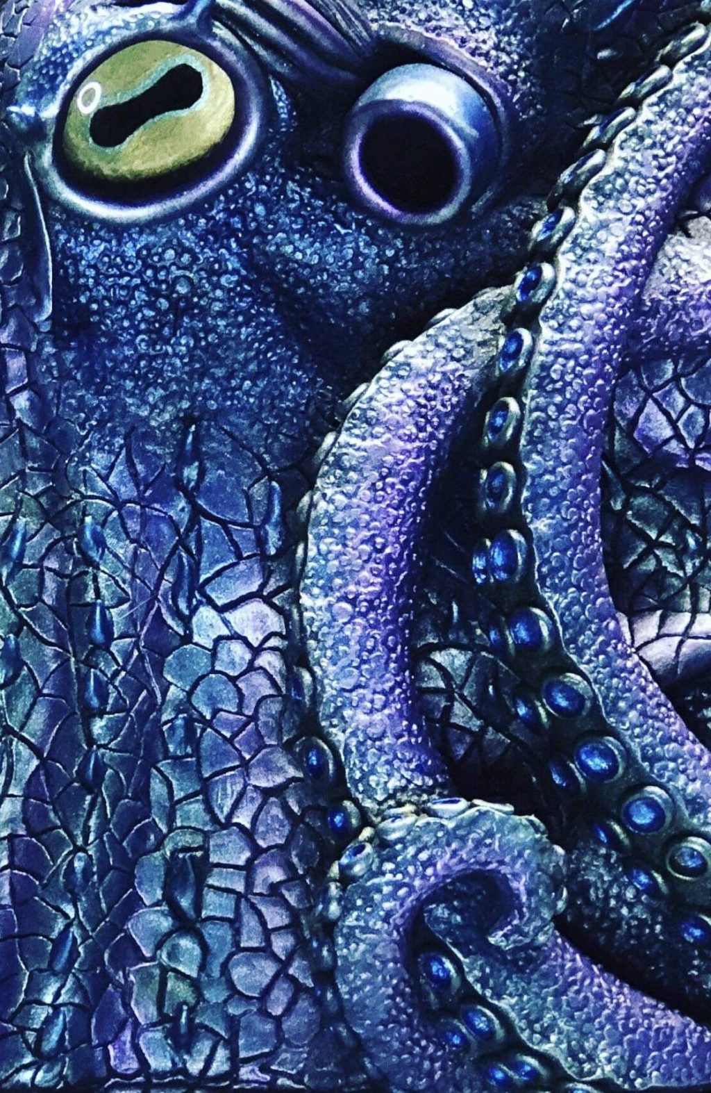 Planet Alaska: Encounters with the giant Pacific octopus | Juneau Empire