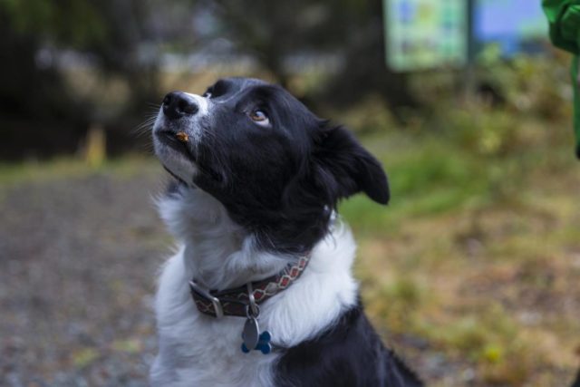 Auke Lake rec area one step closer to completion | Juneau Empire