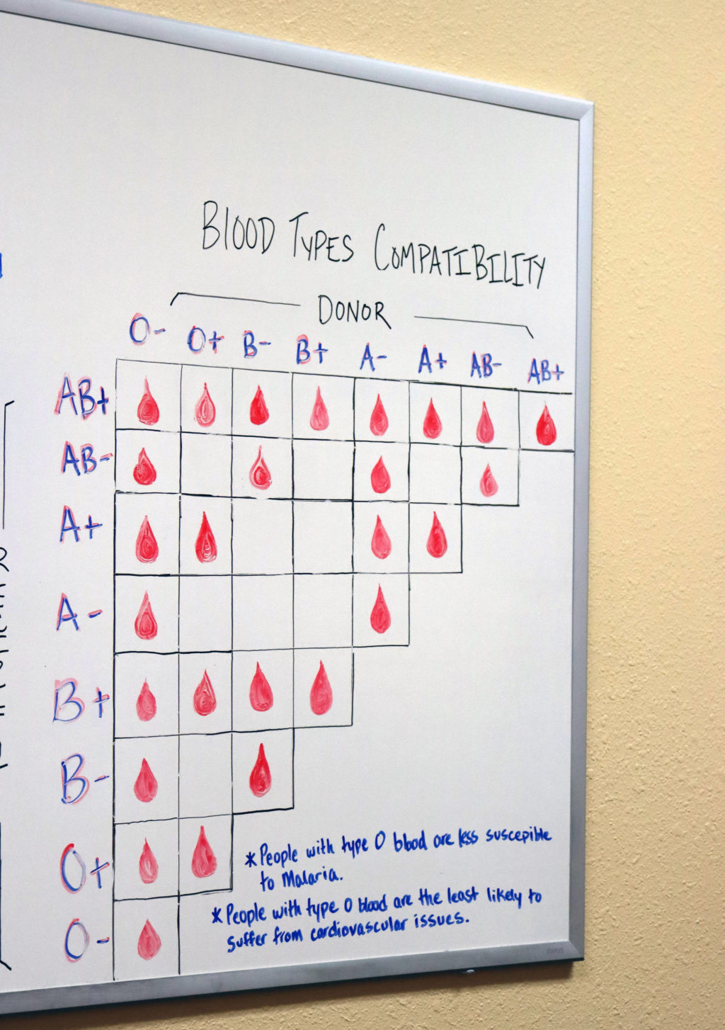 Alaska blood bank faces critical shortages of multiple blood types ...