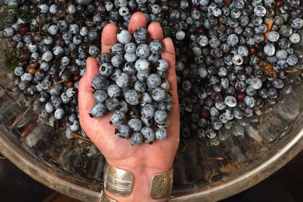 Planet Alaska: Picking currants and riding currents | Juneau Empire