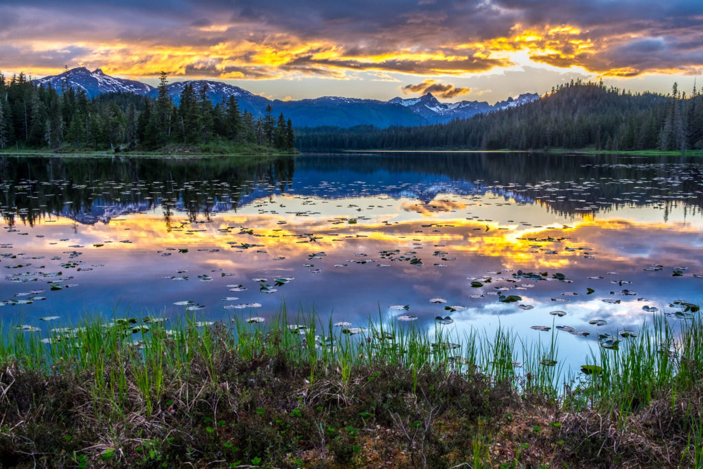 The Salmon State: Bear man of Admiralty Island Allen Hasselborg — and ...