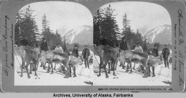Planet Alaska: Reindeer walkers and Alaska’s reindeer history | Juneau ...