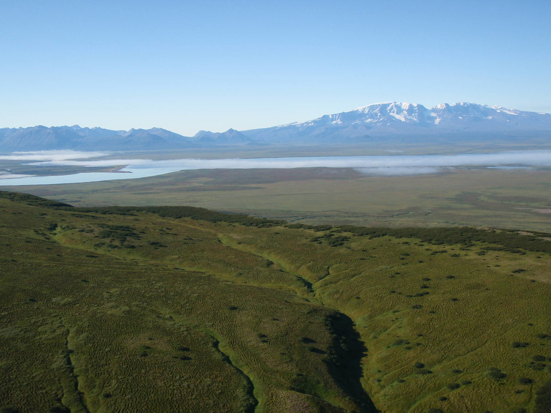 The Salmon State: A tale of two salmon | Juneau Empire