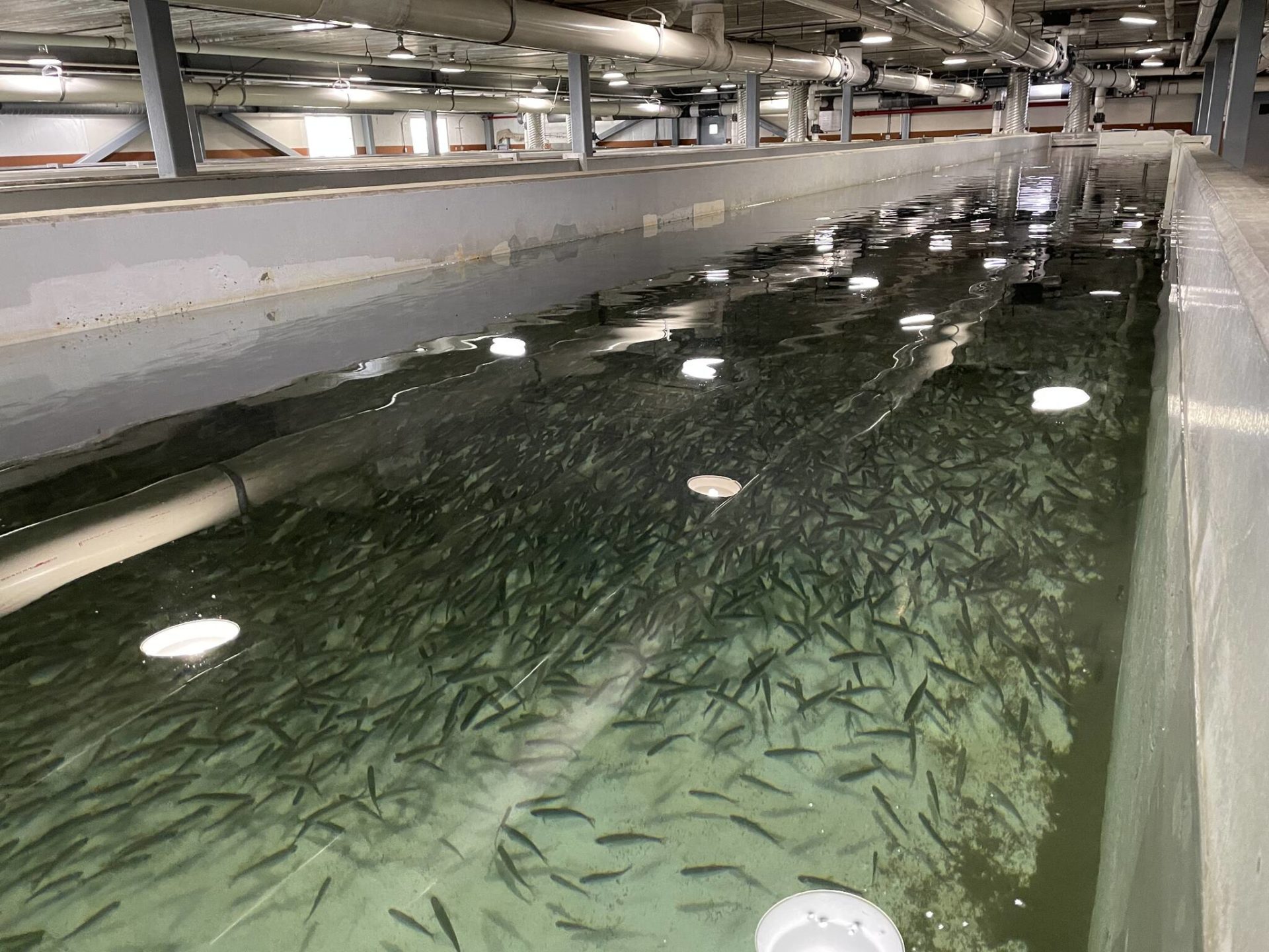 DIPAC to reopen doors to public | Juneau Empire