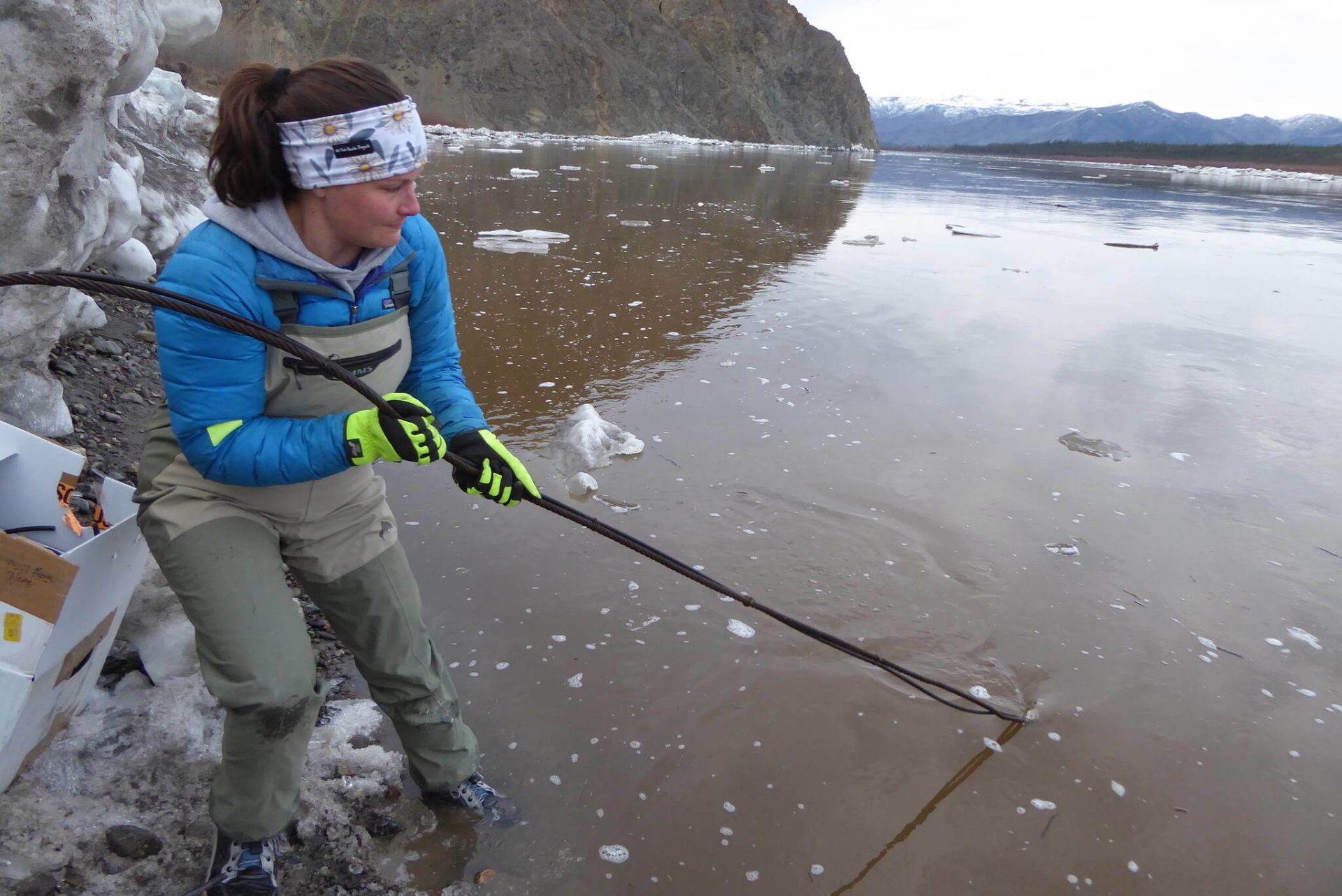 Alaska Science Forum: Wading into the icy Yukon River for science ...