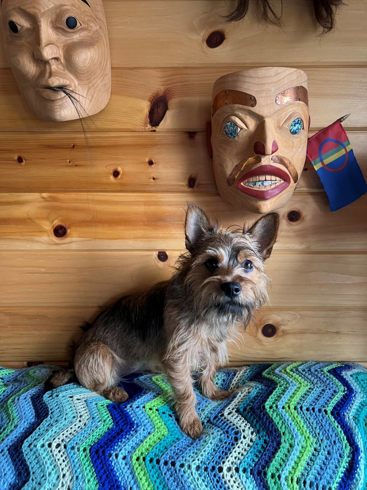 Planet Alaska: Rescuing Ada | Juneau Empire