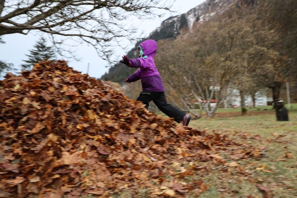 Piles of fun: Juneau students partake in annual leaf jump | Juneau Empire