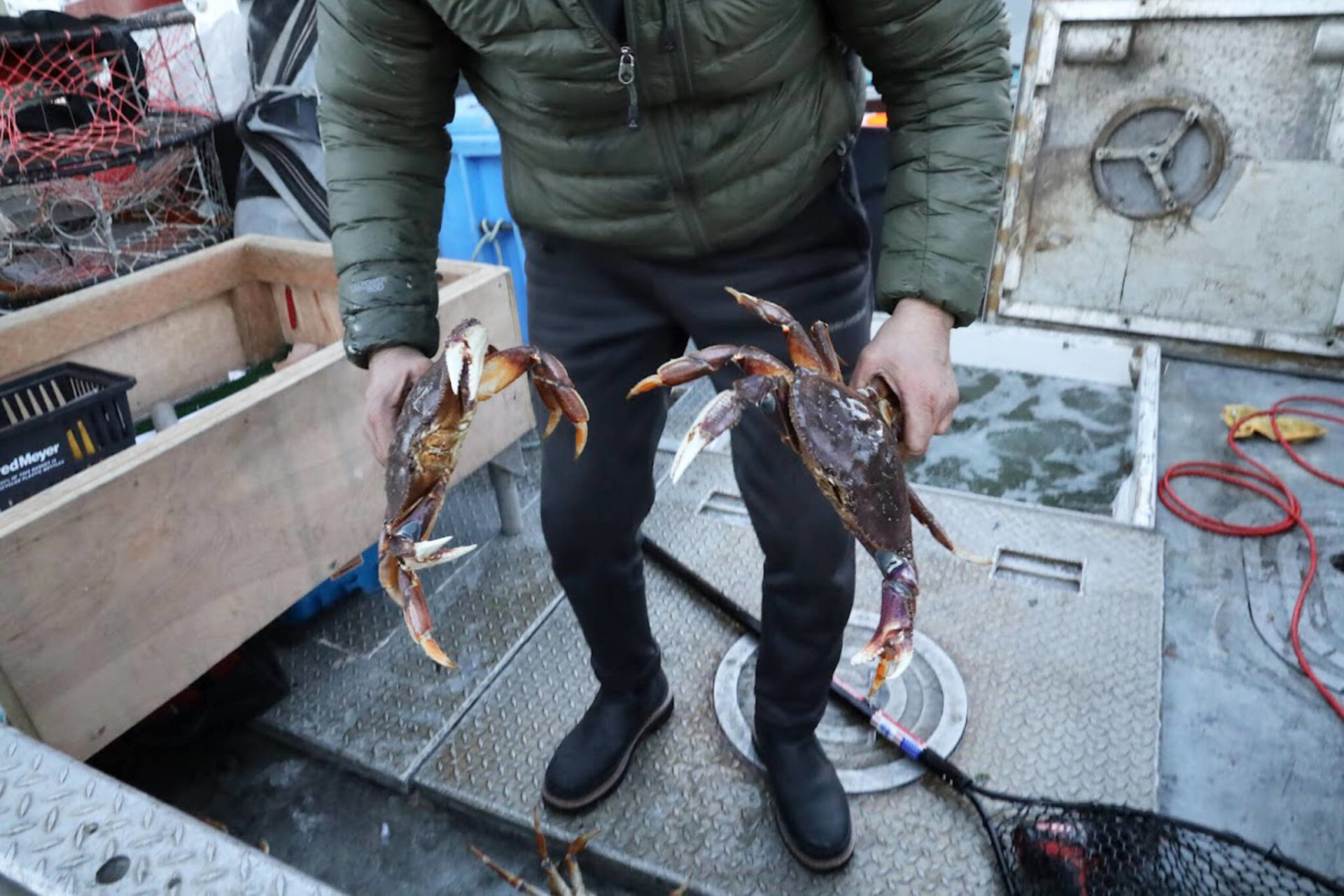 Dungeness crab summer harvest drops $10M from previous season | Juneau ...