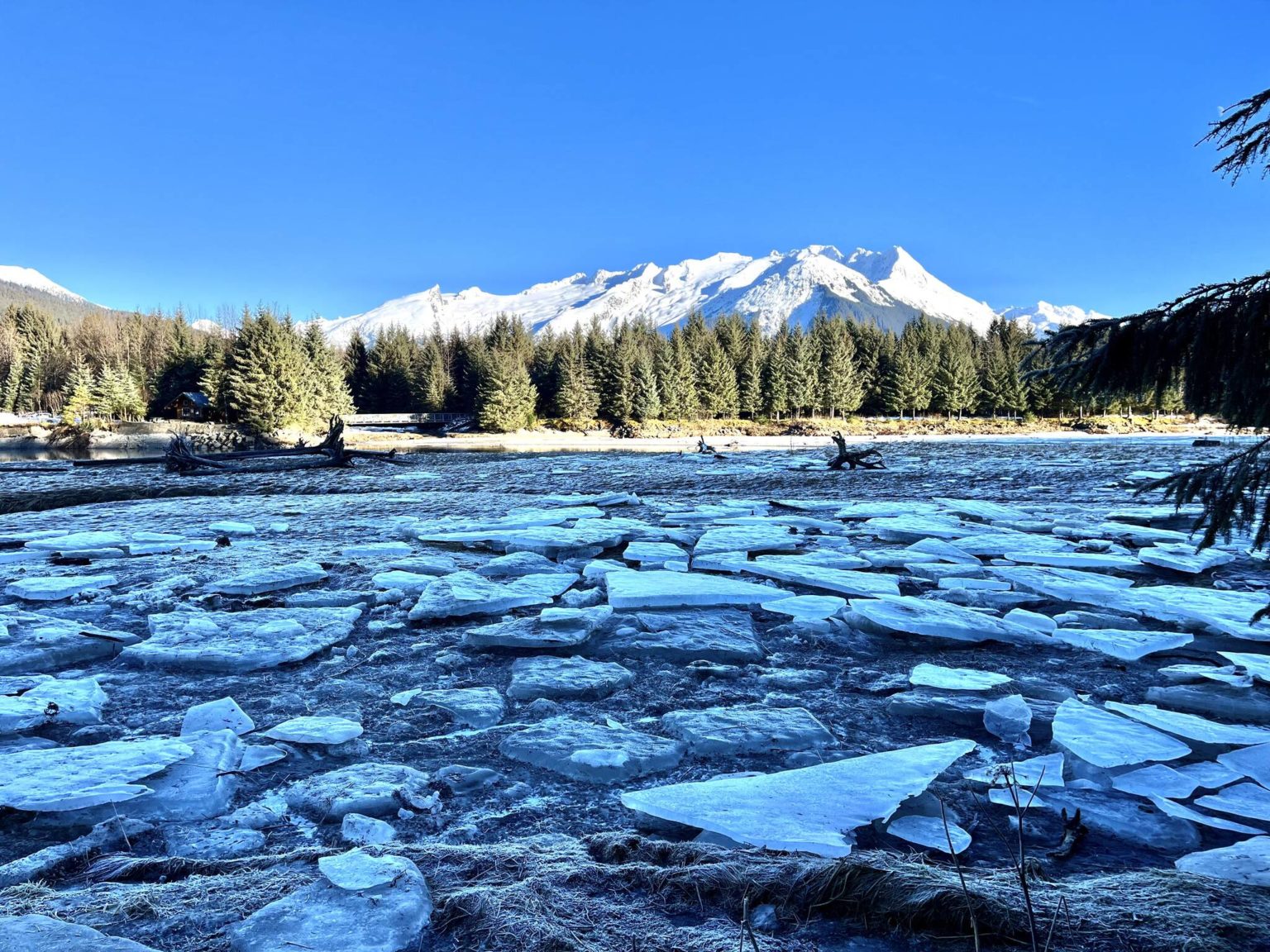 Wild Shots: Photos of Mother Nature in Alaska - 02/19/2023 | Juneau Empire