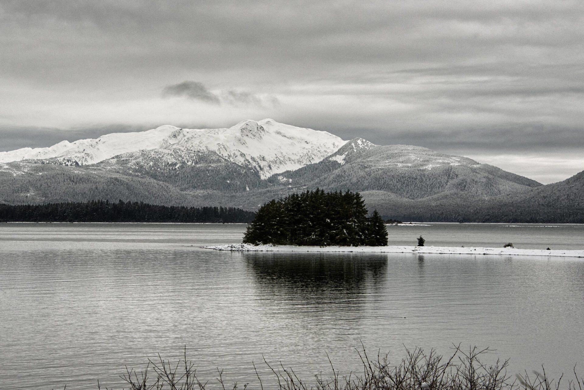 Wild Shots: Photos of Mother Nature in Alaska - 02/19/2023 | Juneau Empire