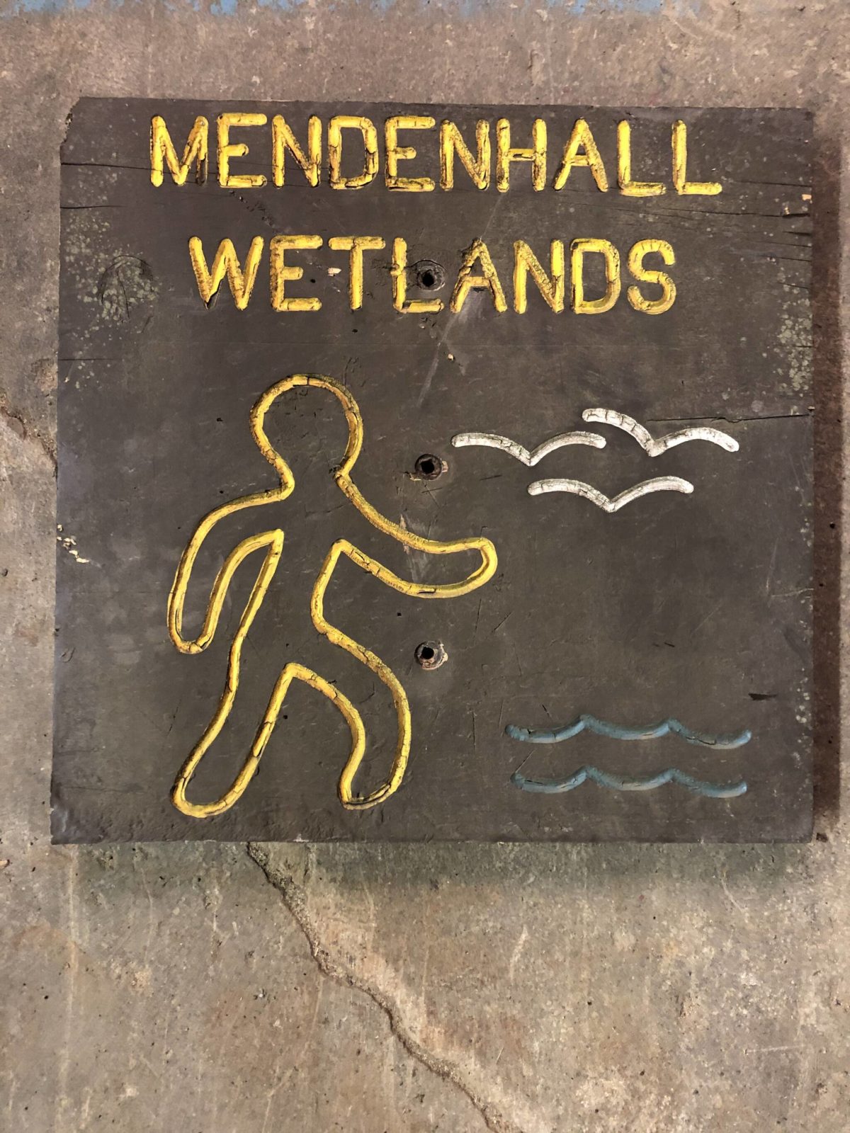 90 shorts talks: The work of ‘professional Volunteer’ Mary Lou King ...