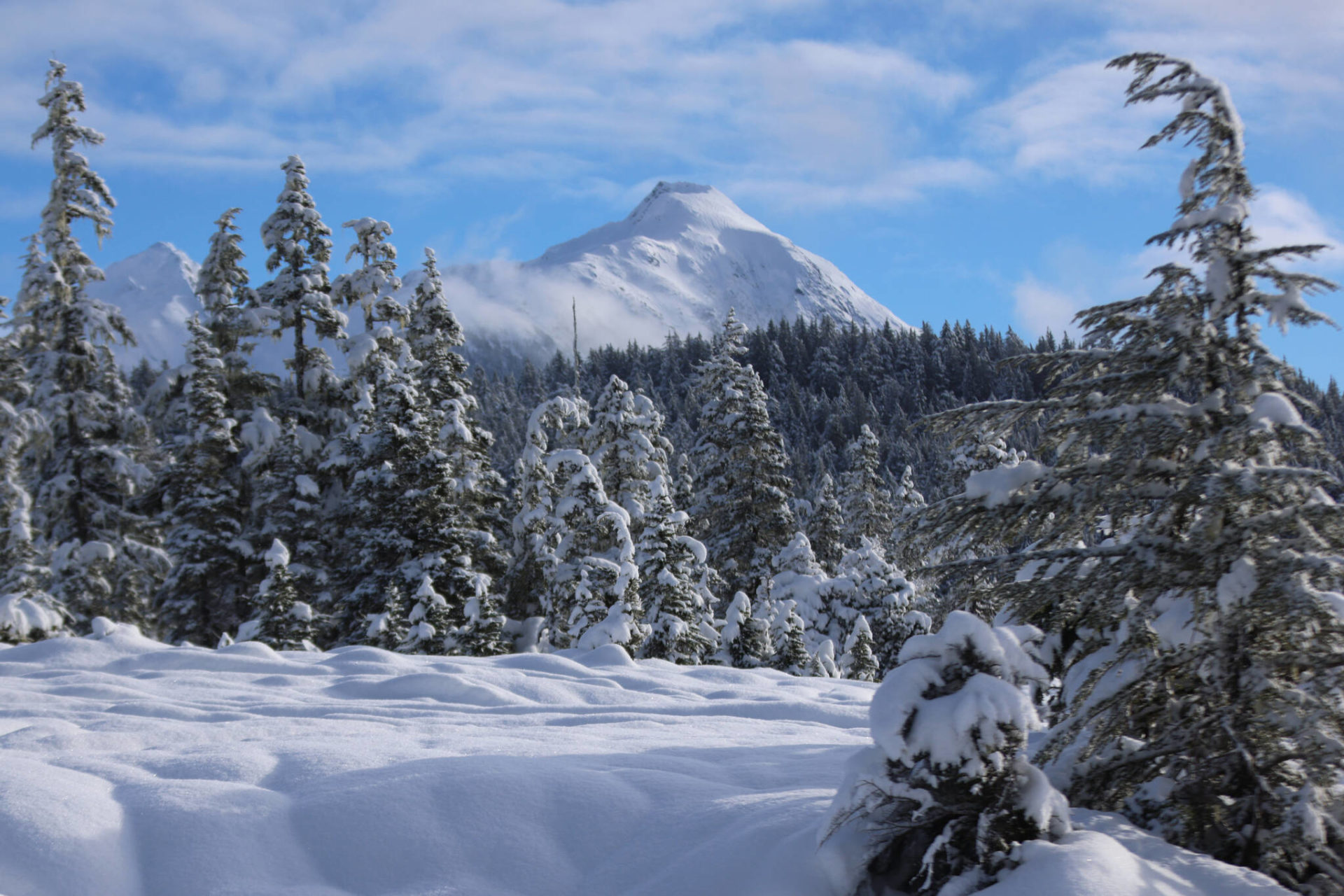 14.3 inches of snow in Juneau sets new record | Juneau Empire