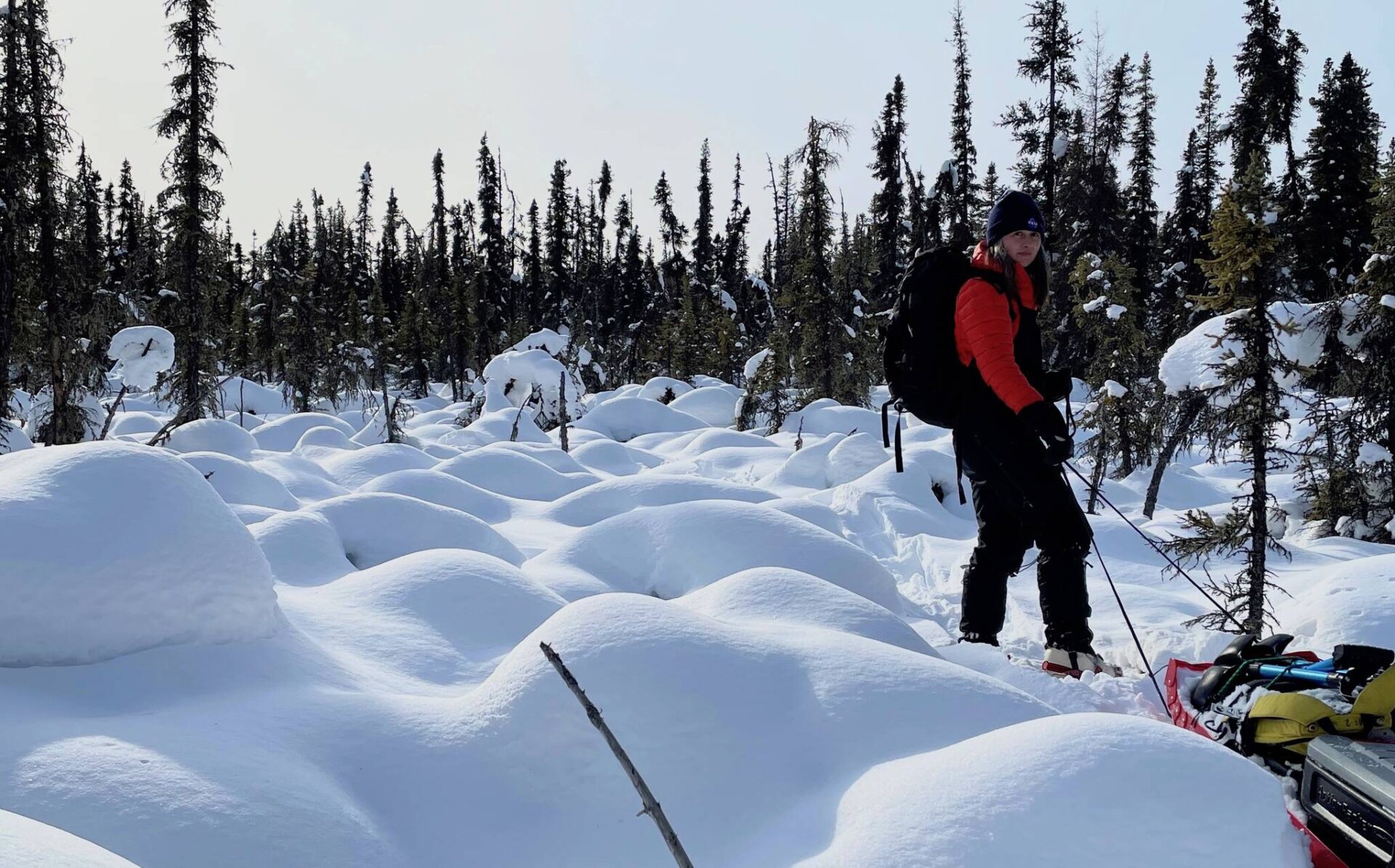 Alaska Science Forum: Dozens descend upon Alaska to measure snow ...