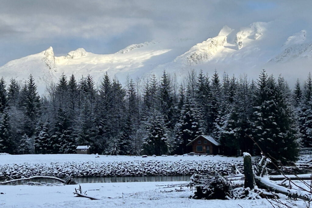 Wild Shots | Juneau Empire