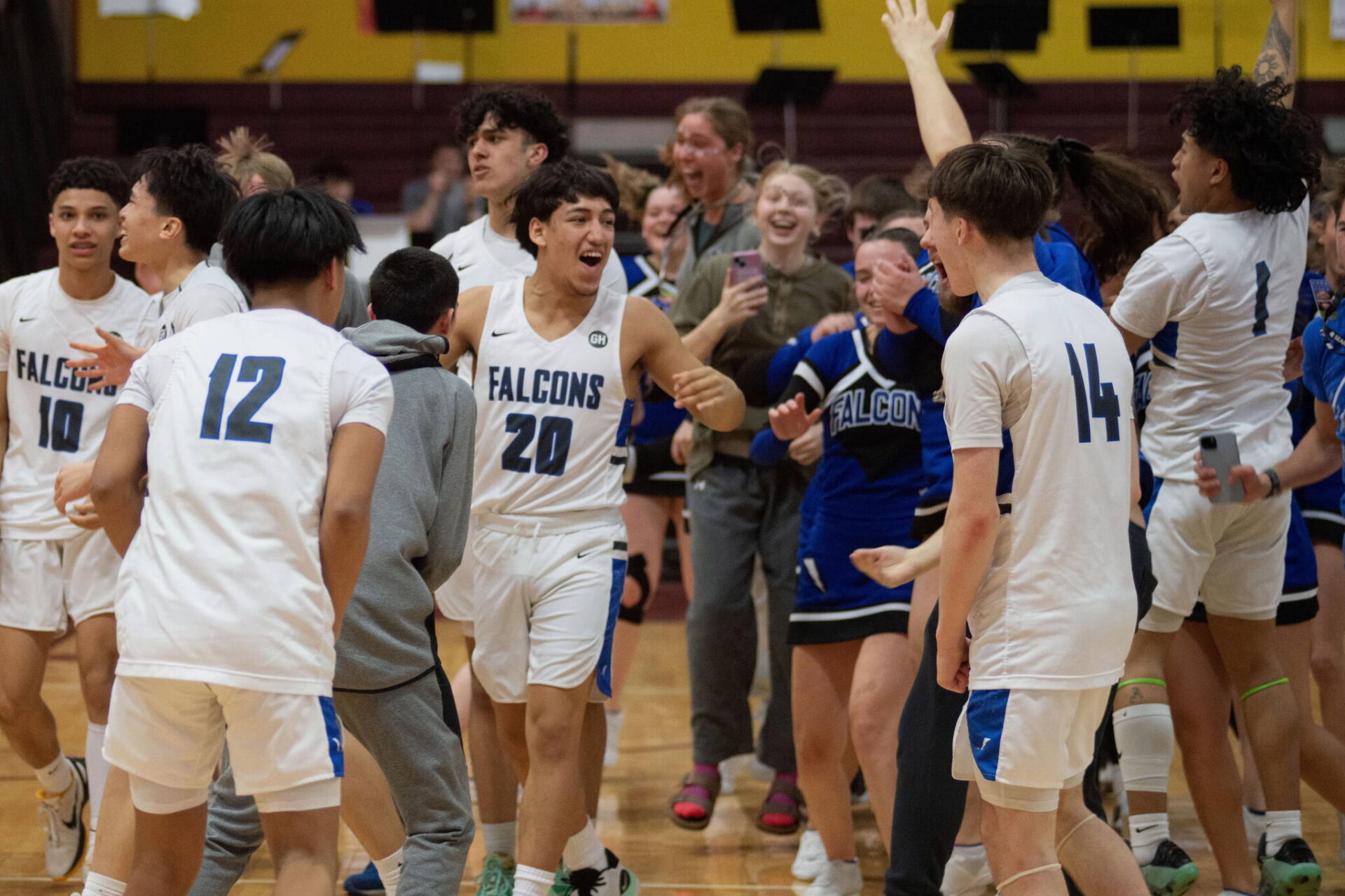 Falcons boys dunk Crimson Bears for schools final Region V basketball ...