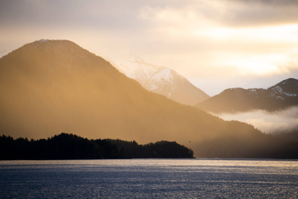 Resilient Peoples and Place: Revising the Tongass Forest Plan | Juneau ...