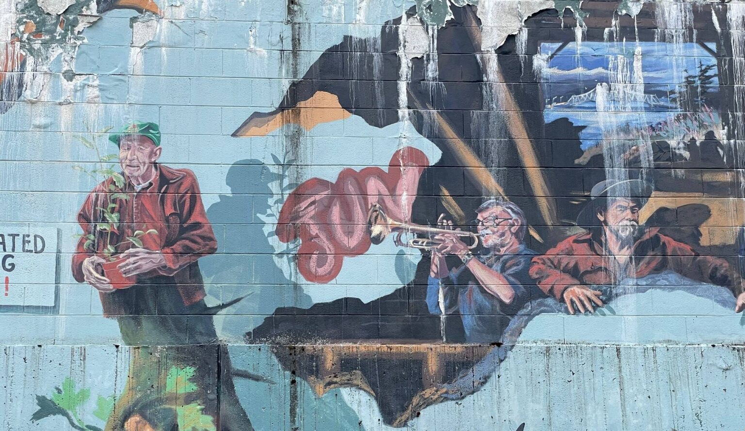 Coats of many colors: Halibut jackets make a big splash again | Juneau ...