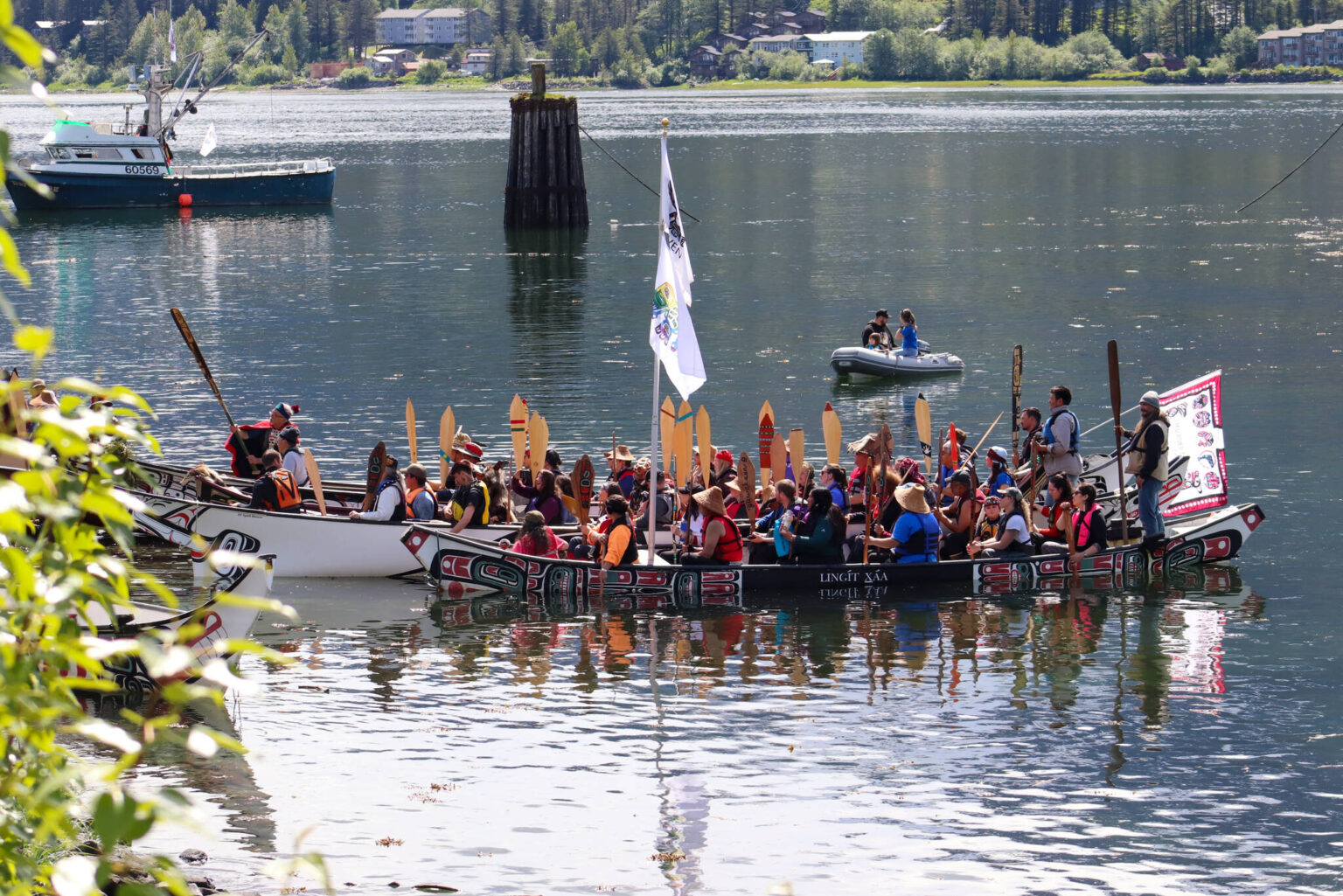 Paddling to Celebration in traditional canoes a journey of healing ...