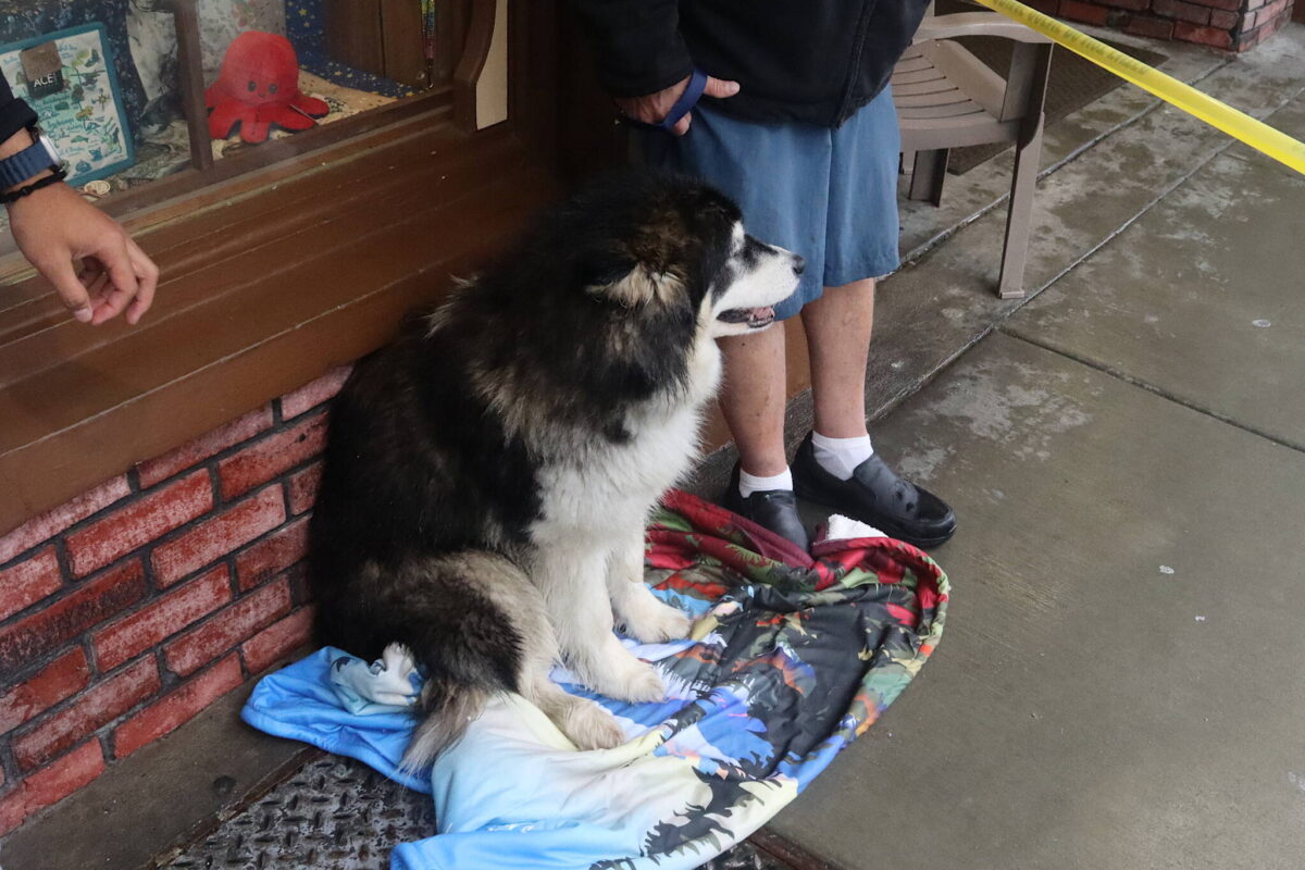 Steven Kissack, homeless resident known for canine companion Juno ...