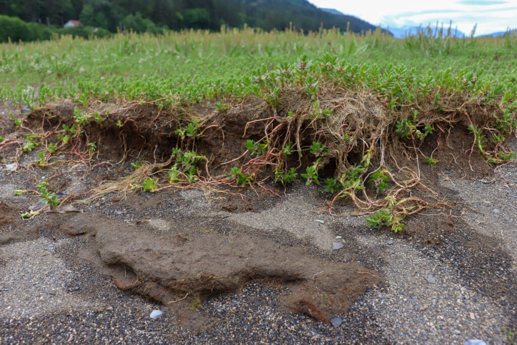 Juneau was built on mining. Can recreational mining at Sheep Creek ...