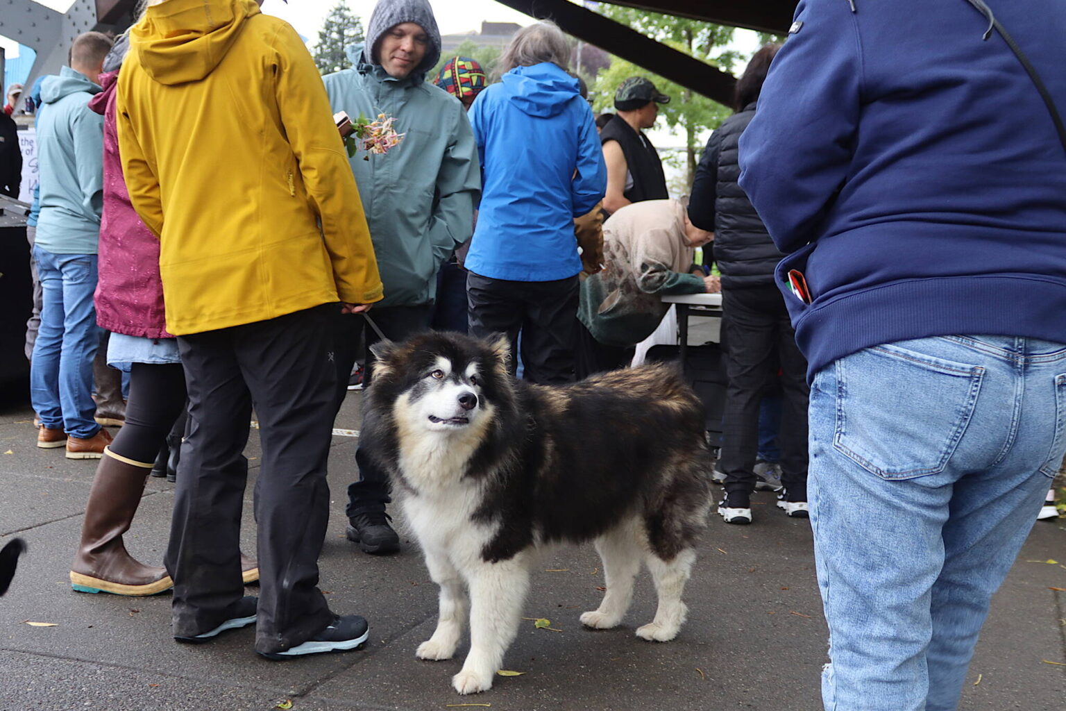 Family, friends of Steven Kissack united from afar at memorial ...