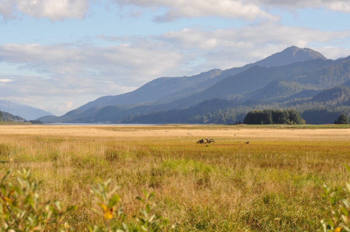 How Outer Drive became inner drive: The construction of Egan Drive ...