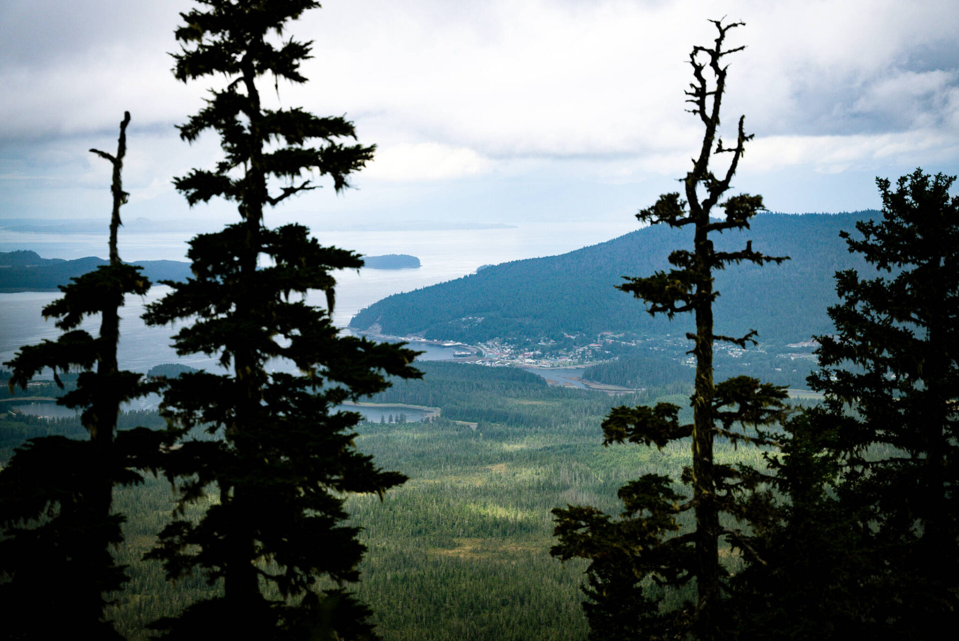 Woven Peoples and Place: Ḵutí expands across Southeast Alaska | Juneau ...