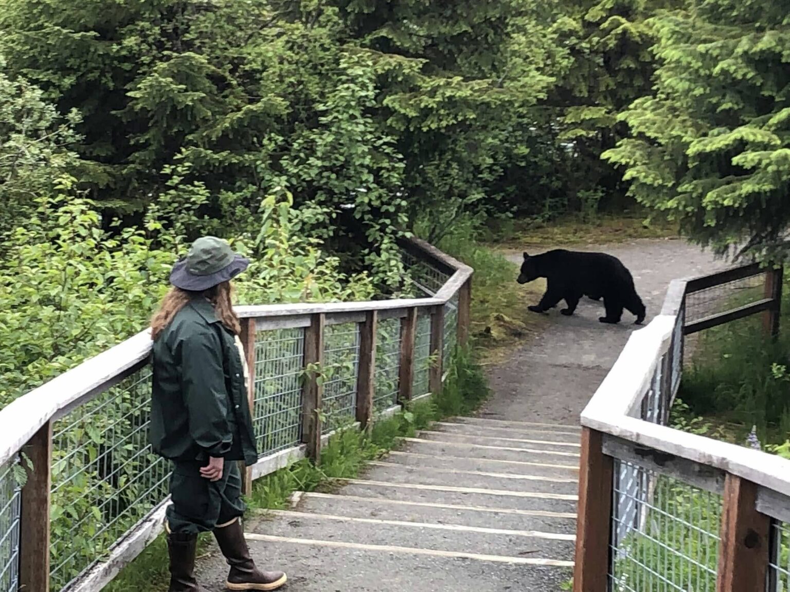 Only two employees left at Mendenhall Glacier Visitor Center after 80% ...