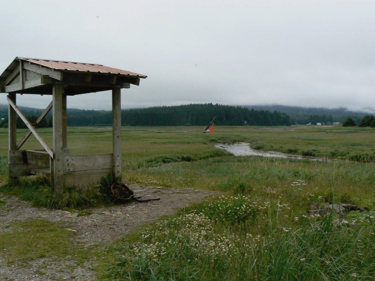 The path to Juneau’s heart: The Airport Dike Trail | Juneau Empire