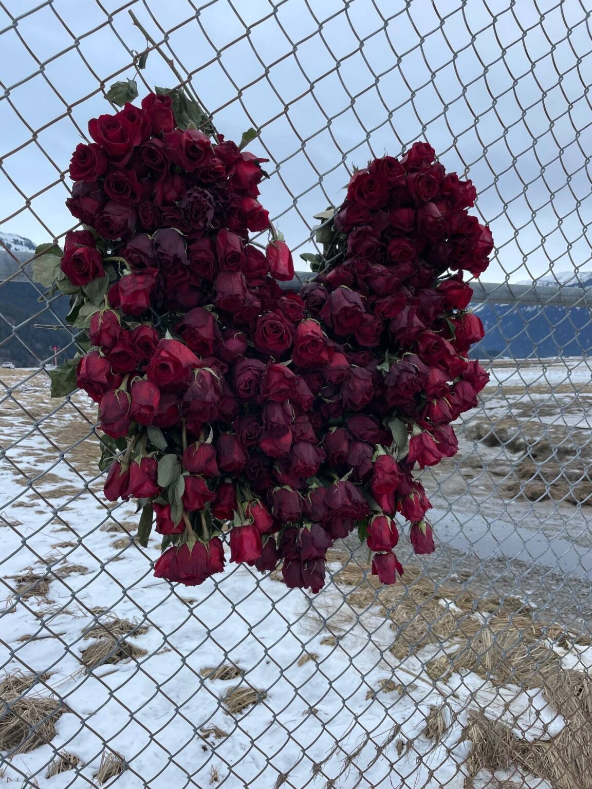 The path to Juneau’s heart: The Airport Dike Trail | Juneau Empire