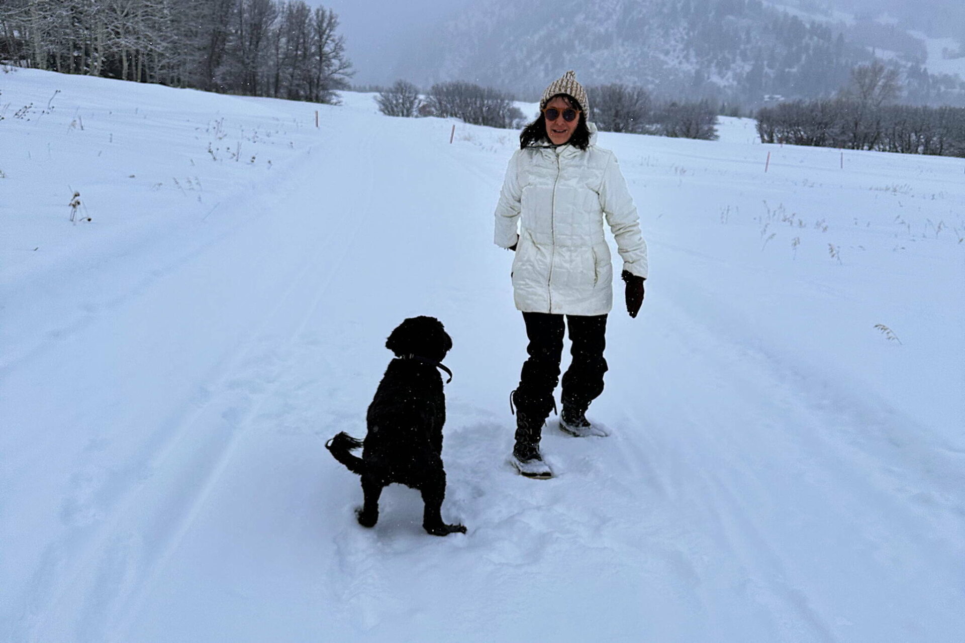 Living and Growing: How we live our lives and pass on our values to our ...