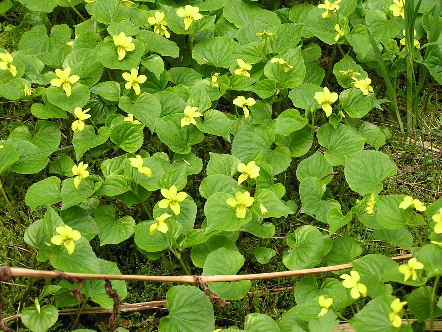 On the Trails: Spring?? | Juneau Empire