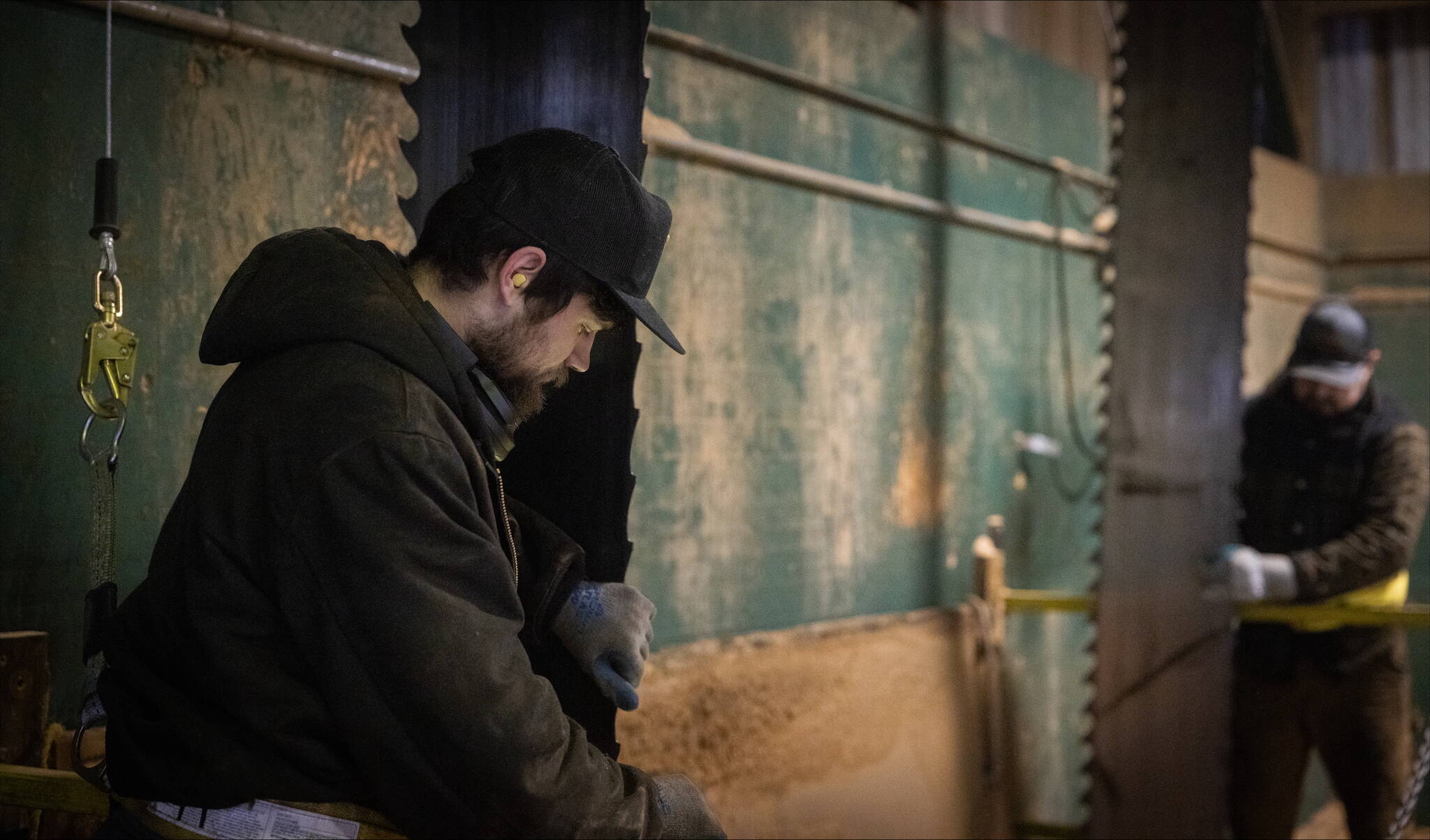 Threads of the Tongass: The future of pianos and the timber industry ...